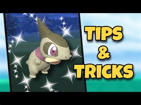 Tips Tricks For Axew Community Day In Pokémon GO YouTube