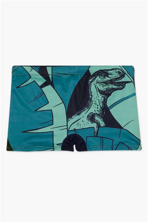 Sunga Boxer Infantil Dinossauro Na Floresta Lojista Dedeka