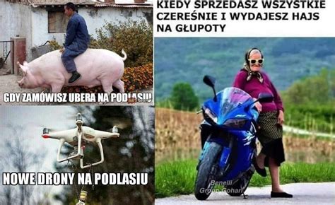 Nowe najgłupsze memy o wsi i rolnikach z Podlasia Znowu się śmieją