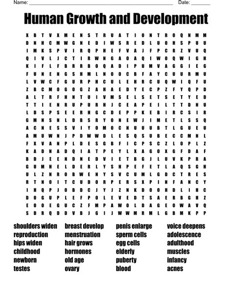 Human Growth And Development Word Search WordMint