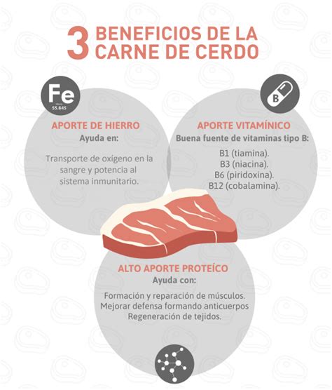 Los Poco Conocidos Beneficios De La Carne De Cerdo Extra Magra Vida