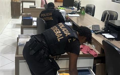 PF Combate Desmatamento Equivalente A Mais De 15 Mil Campos De Futebol