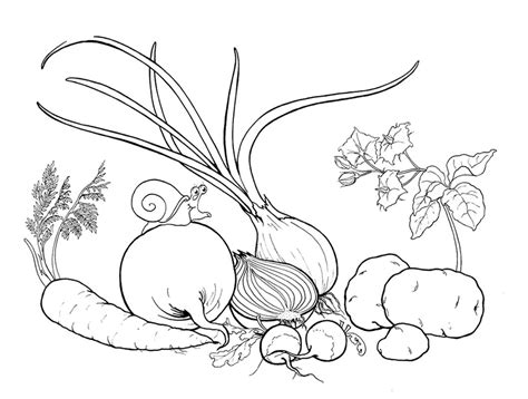 DIBUJOS DE ALIMENTOS Para Colorear E Imprimir