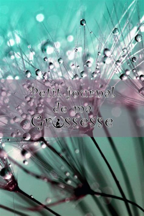 Buy Petit Journal De Ma Grossesse Un Journal à Compléter Tout Au Long