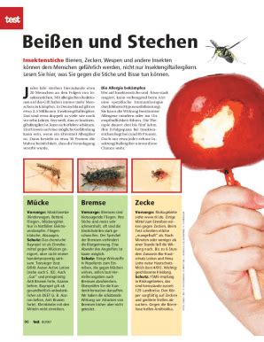 Ausfüllbar Online Stich von Wespe Biene oder Zeckenbiss Was tun im