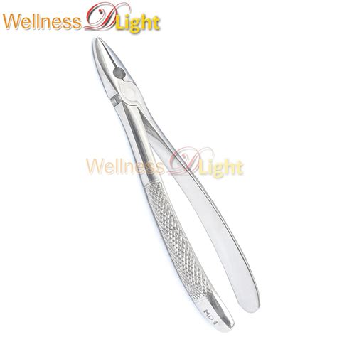Amazon Wdl Stainless Steel Dental Extraction Forceps Md Mead