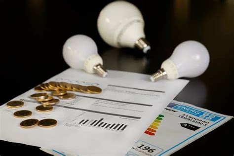 El formulario para mantener los subsidios en la luz y en el gas qué