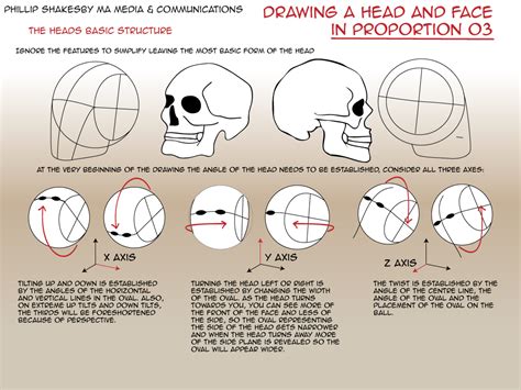 AnatoRef Head Rotation Top Image Row 2 Row 3 Row 4 Left Anatomy