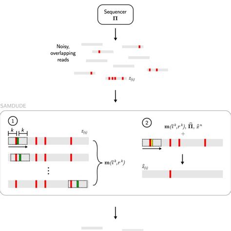 statistics for variant call sets generated from the original data sets download scientific