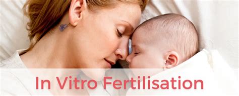 IVF In Spain Or In Vitro Fertilisation Best IVF Clinic In Spain Vida