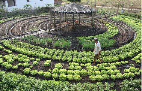 Agricultura sustentável práticas para um campo ecoconsciente