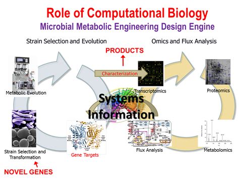 computational biology bioinformatics molecular biology computational