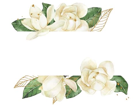 Dibujo De Acuarela Marco Rectangular Con Flores Blancas Y Hojas De