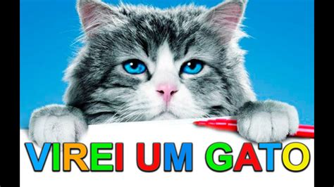 Filme Virei Um Gato Youtube