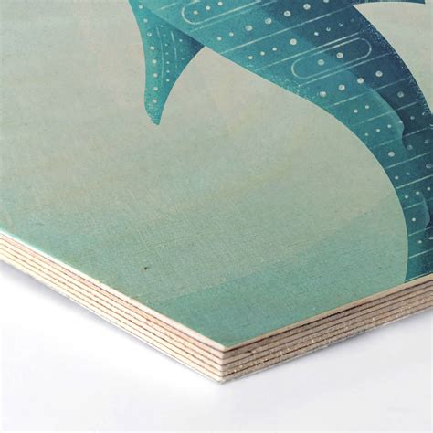 Hexagon Holz Birke Furnier Rivers Der Walhai Wall Art De