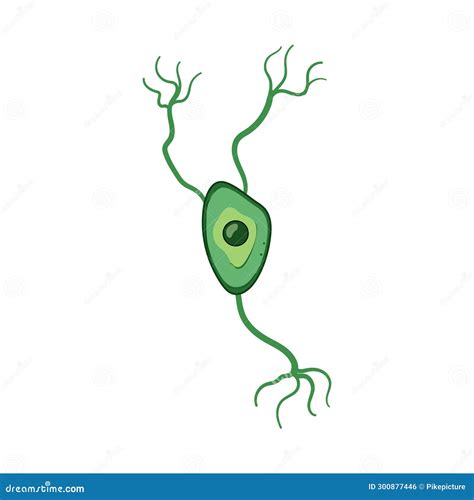 Human Neurons Cartoon Vector Illustration Stock Illustration