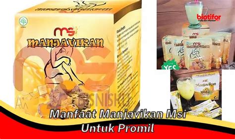 Temukan Manfaat Kecambah Untuk Promil Yang Jarang Diketahui Biotifor