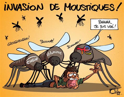 Trop De Moustiques En Belgique Les Humeurs D Oli