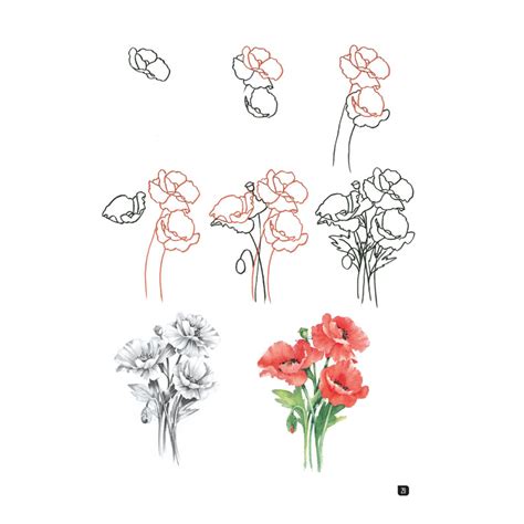 Comment dessiner 100 fleurs Beaux arts les éditons de saxe