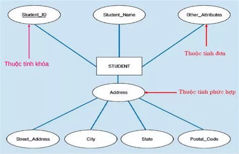 Tổng hợp 68 về mô hình erd mới nhất Tin học Đông Hòa