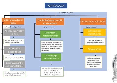 Arriba 70 Imagen Mapa Mental De Articulaciones Abzlocal Mx