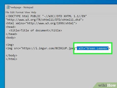 How To Insert An Image In HTML
