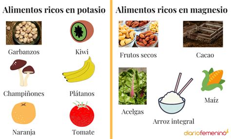 Qué alimentos son ricos en potasio y magnesio
