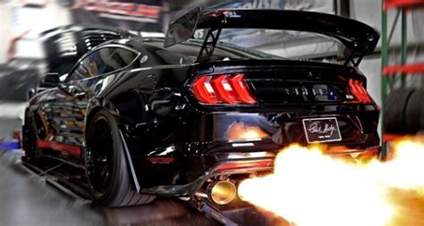 Shelby Gt Code Red Wildest Stallion On The Dyno
