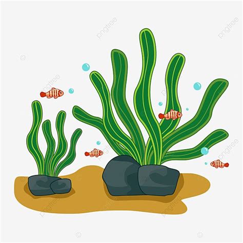 Seaweed And Corals In The Sand Cartoon Illustration Png And Psd