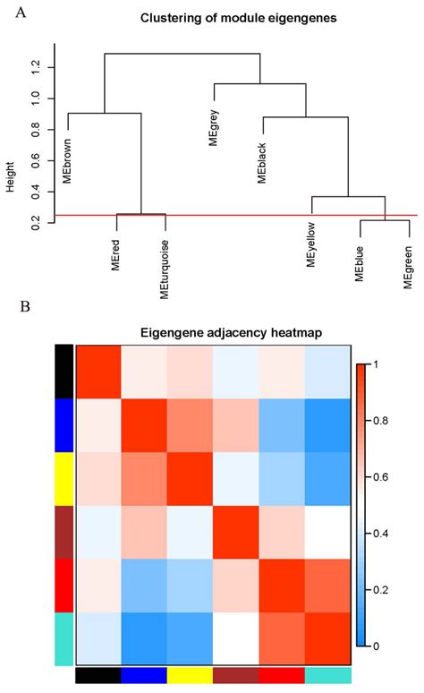 Identification Of Key Gene Modules And Hub Genes Of Human Mantle Cell