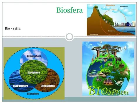 Biosfera Em Geografia E Geo Fisiologia Principais Elementos Mundo