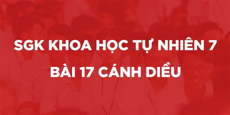 T I Gi I Khtn B I Vai Tr C A Trao I Ch T V Chuy N H A N Ng