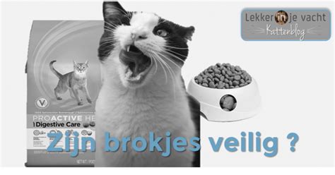 Hoeveel Moet Een Kat Eten Katten Blog