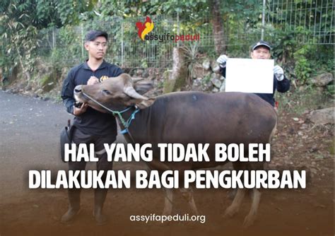 Hal Yang Boleh Dan Tidak Boleh Dilakukan Shohibul Qurban Assyifa Peduli