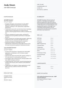 SAP ABAP Developer Resume Example