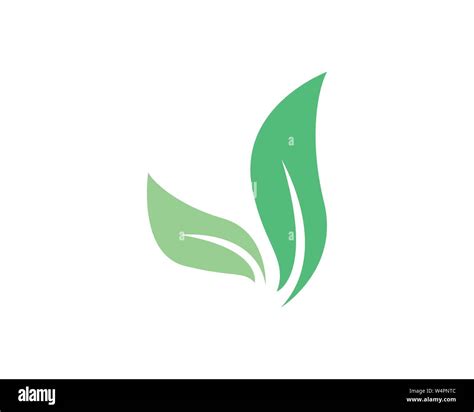 Logos Of Green Tree Leaf Ecology Nature Element Vector Stock Vector