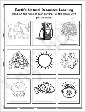Earth S Natural Resources Worksheets