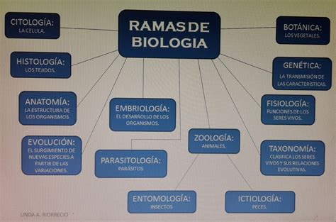 5 Ramas De La Biologia Slingo
