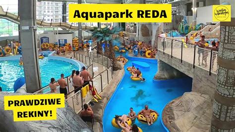 Zobacz jak wygląda Reda Aquapark z rekinami Największy i