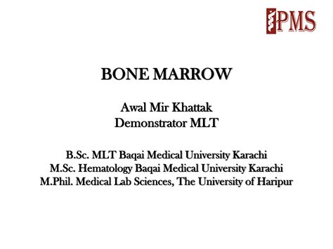 SOLUTION Lecture 2 Bone Marrow Structure And Functions Studypool