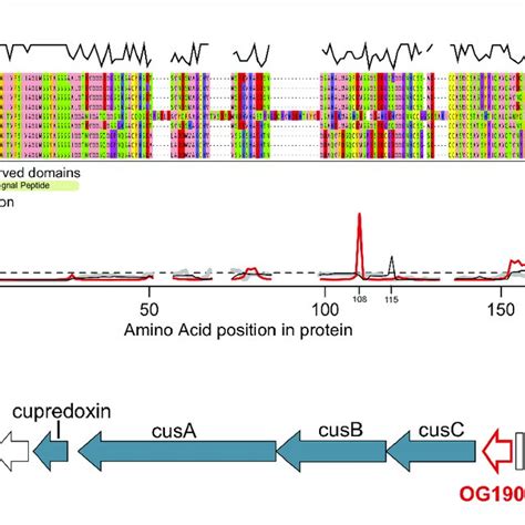 A Protein Alignment Transmembrane Structure Conserved Domains And