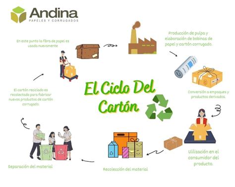 El Ciclo Vital del Reciclaje Una Transformación Circular