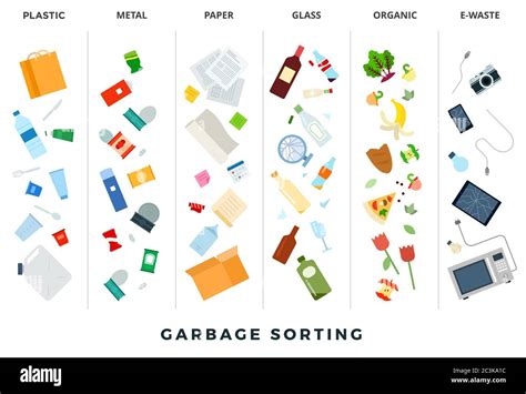 Garbage Sorting Vector Flat Illustrations Sort Waste For Recycling