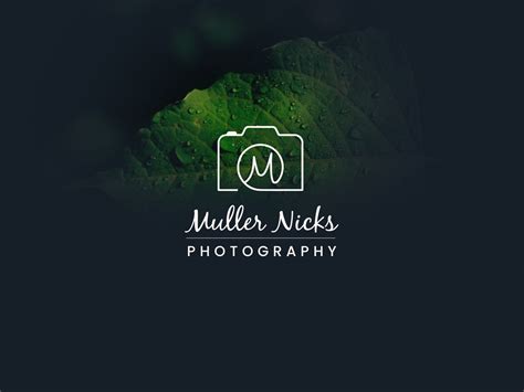 Professional Photographer Logo Design