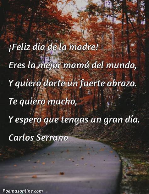 Cinco Poemas Bonitos para Mamá Cortos Poemas Online