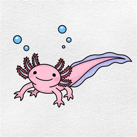Axolotl Drawing Easy Axolotl Drawing Ideas Axolotl Drawings Art The