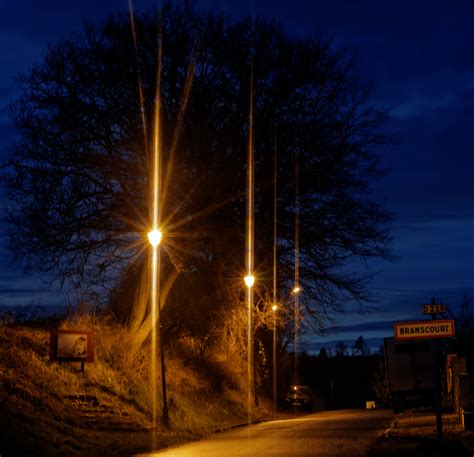 Fotos gratis árbol ligero cielo noche luz de sol Mañana