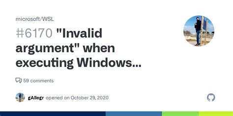 Invalid Argument When Executing Windows Commands On Ubuntu 20 04