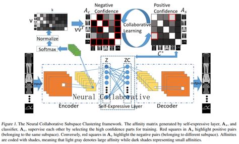 neural collaborative subspace clustering（icml 2019） 机器要学习 博客园