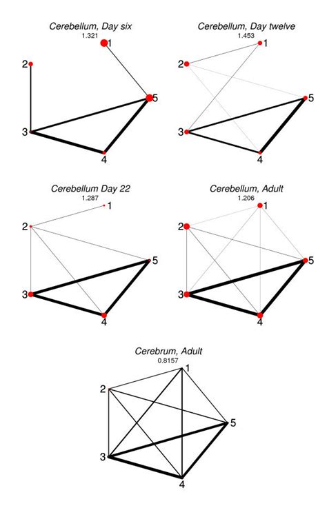 conditional independence graphs conditional independence graphs for download scientific
